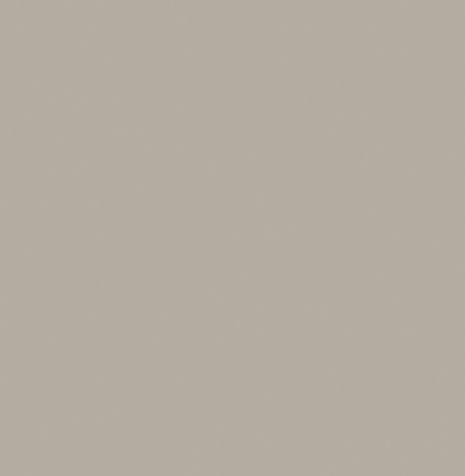 ABS SZARY KRZEMOWY U201 ST9 - 23/2 - EGGER