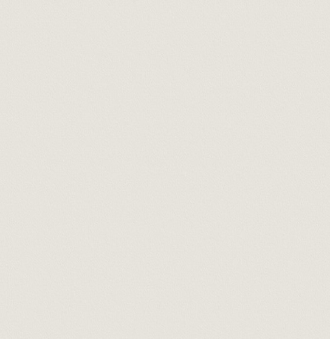 ABS SZARY BIAŁY U775 ST9 - 23/2 - EGGER